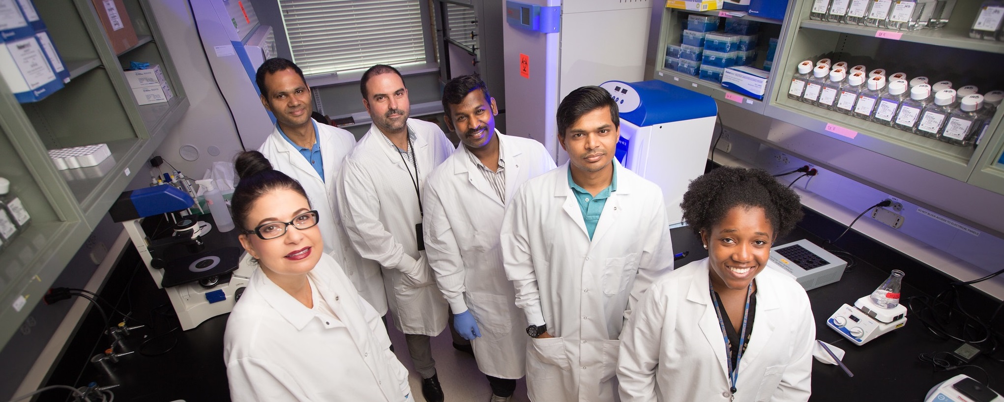 El-Hage Lab | FIU Herbert Wertheim College of Medicine
