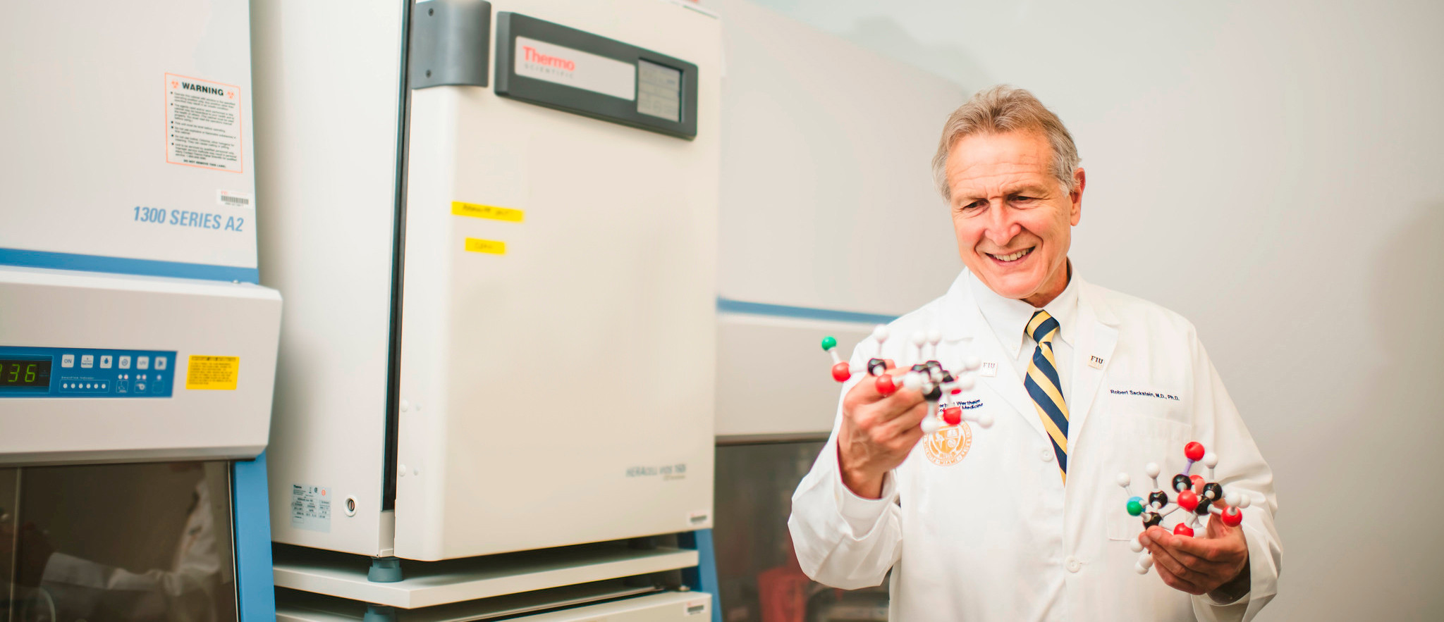 Sackstein Lab | FIU Herbert Wertheim College of Medicine