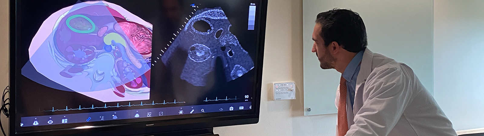 7-Year BS/M.D. Accelerated Pathway Program | FIU Herbert Wertheim ...